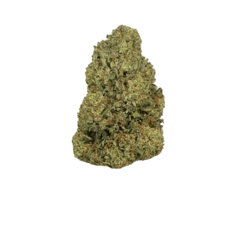 THCa Flower Bacio Bulk Elevated Trading thca-flower-bacio-bulk-elevated-trading